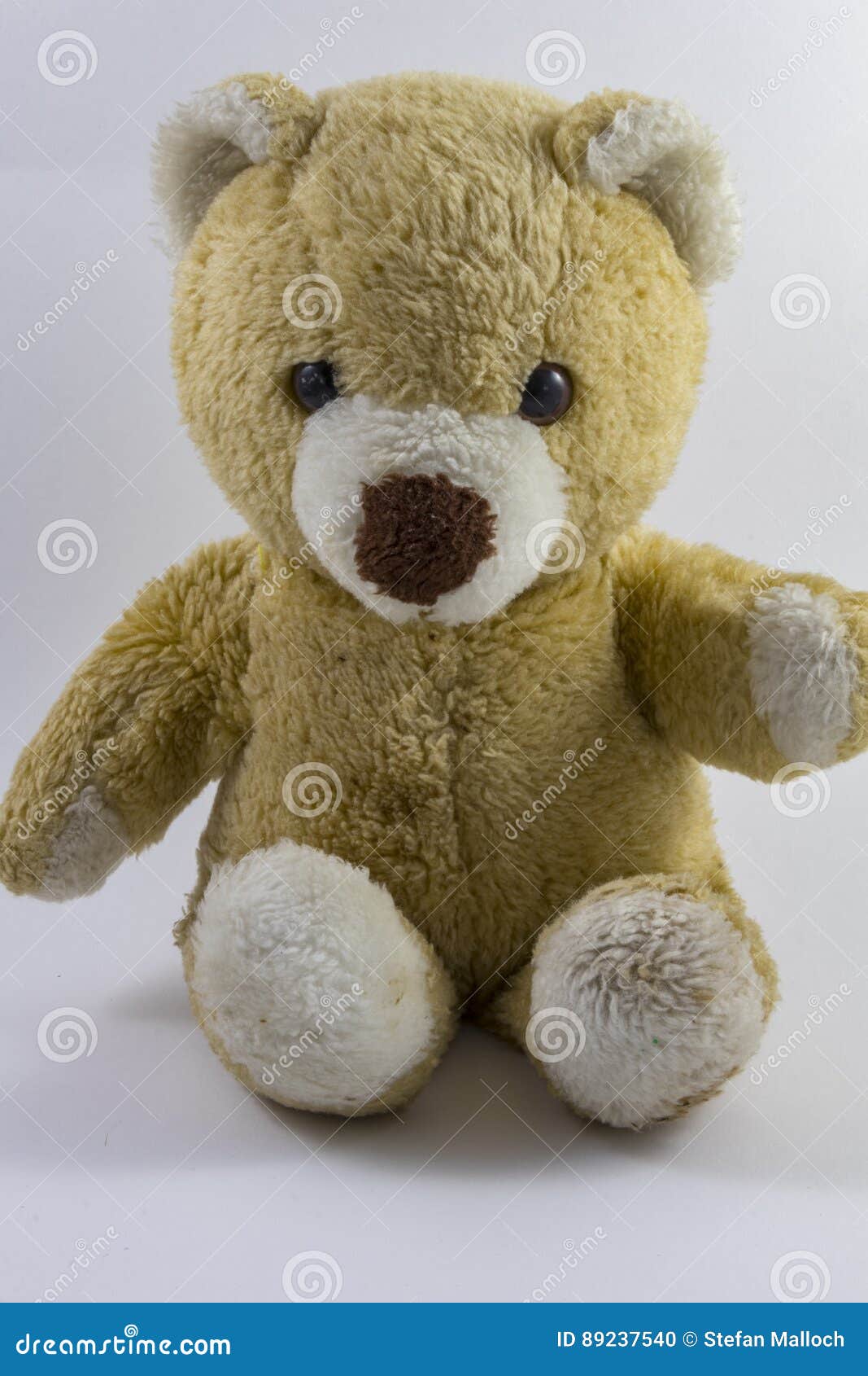 A cute teddy bear stock photo. Image of furry, celebration - 89237540