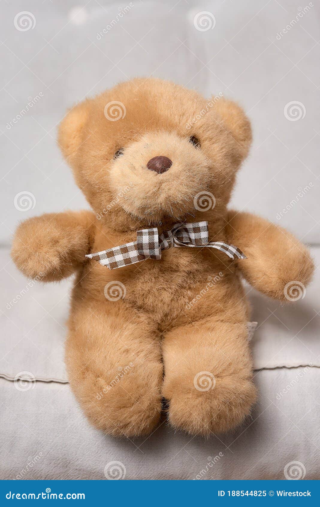 Cute Teddy Bear Soft Plush Toy in a Room Stock Image - Image of child ...