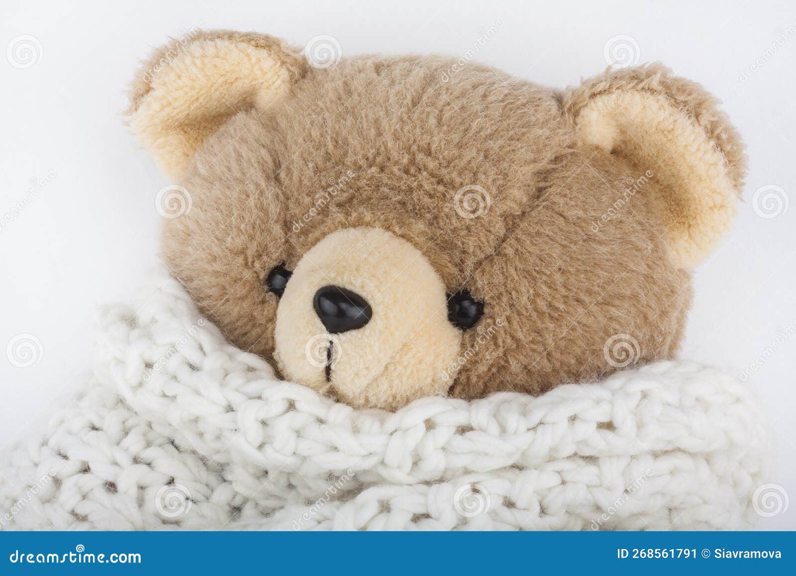 Teddy Bear with Winter Wool Scarf Stock Image - Image of isolated ...