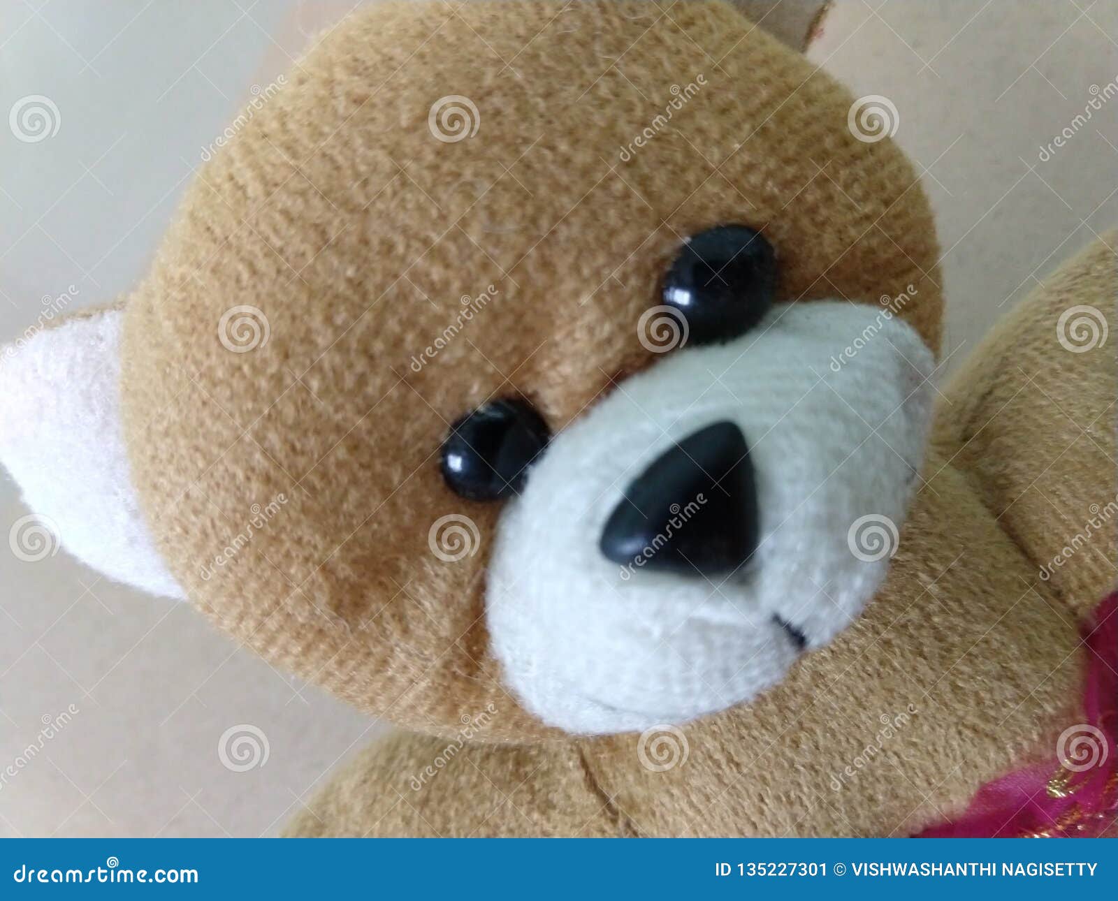 A teddy bare stock image. Image of white, eyes, teddy - 135227301