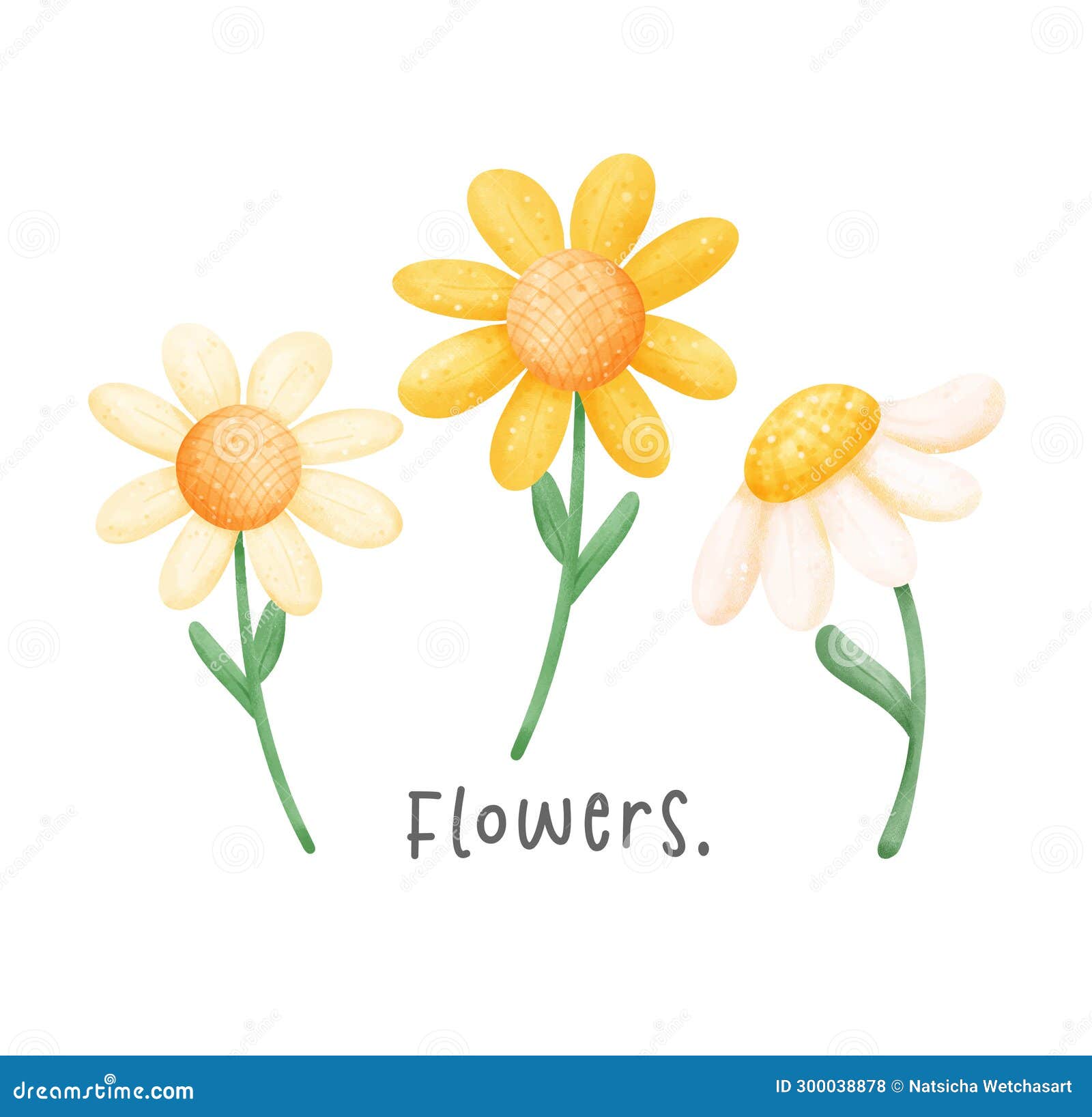 Cute Three Daisy Flowers Watercolor Hand Drawing Illustration Vector ...