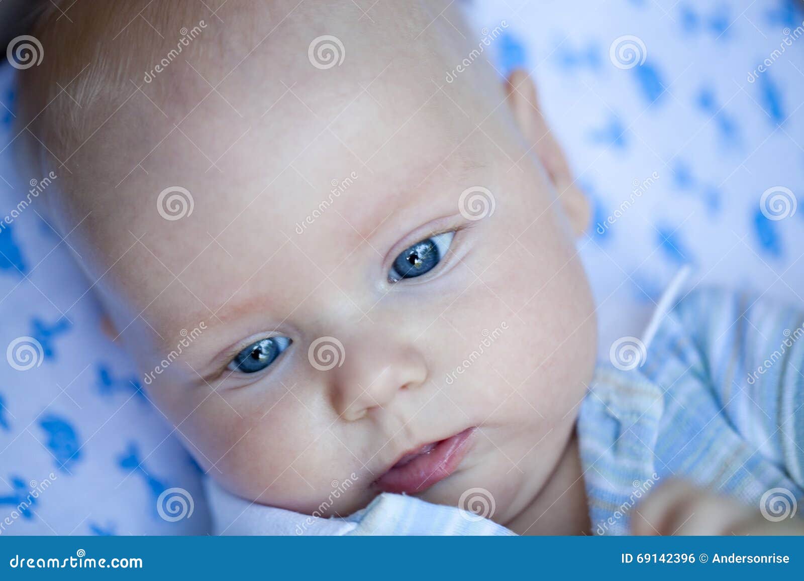Cute Three Month Old Baby Boy Stock Photo - Image of baby, people: 69142396