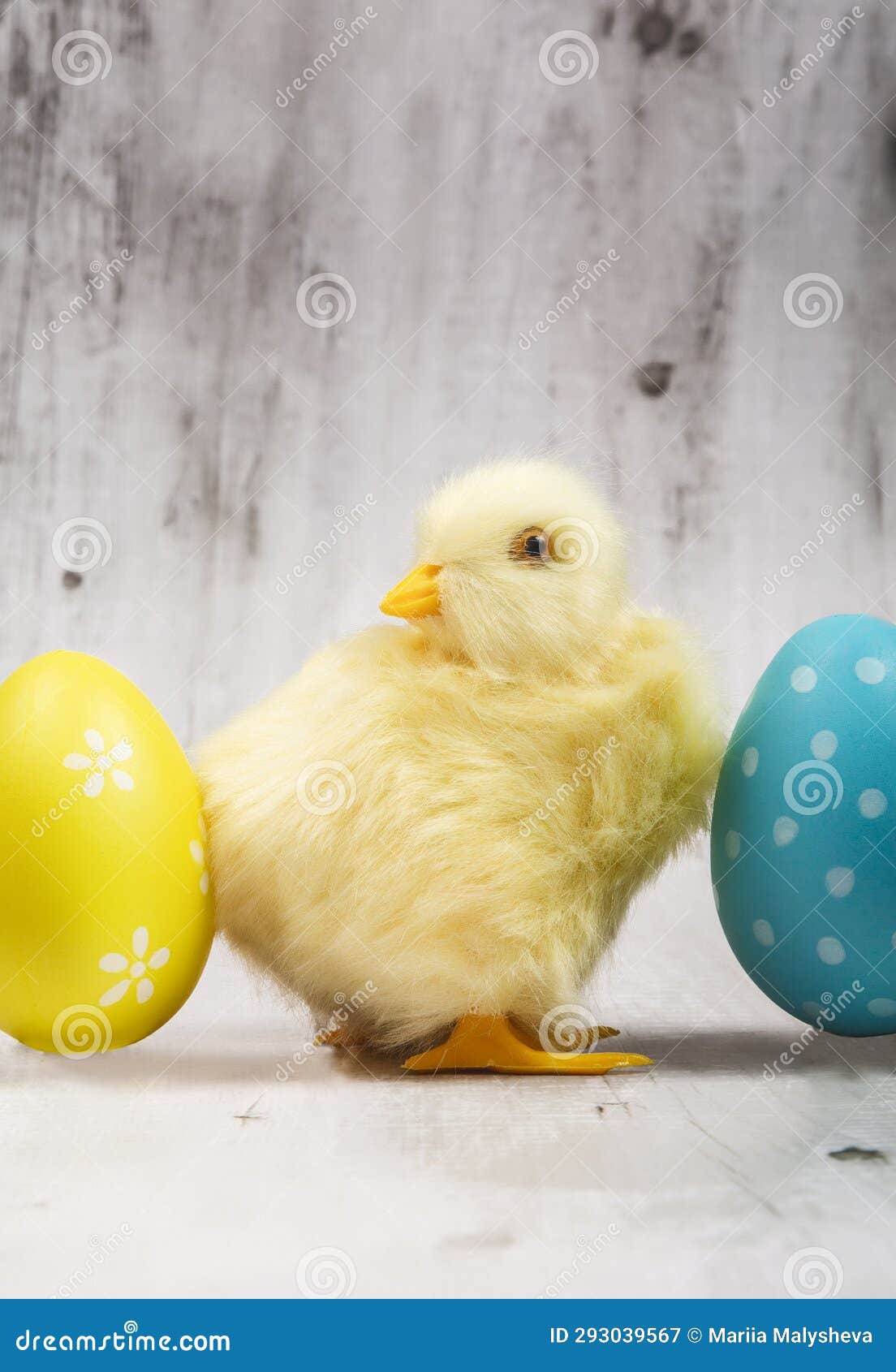 Cute Tiny and Fluffy Easter Chicken. Easter Eggs, Easter Card Stock ...