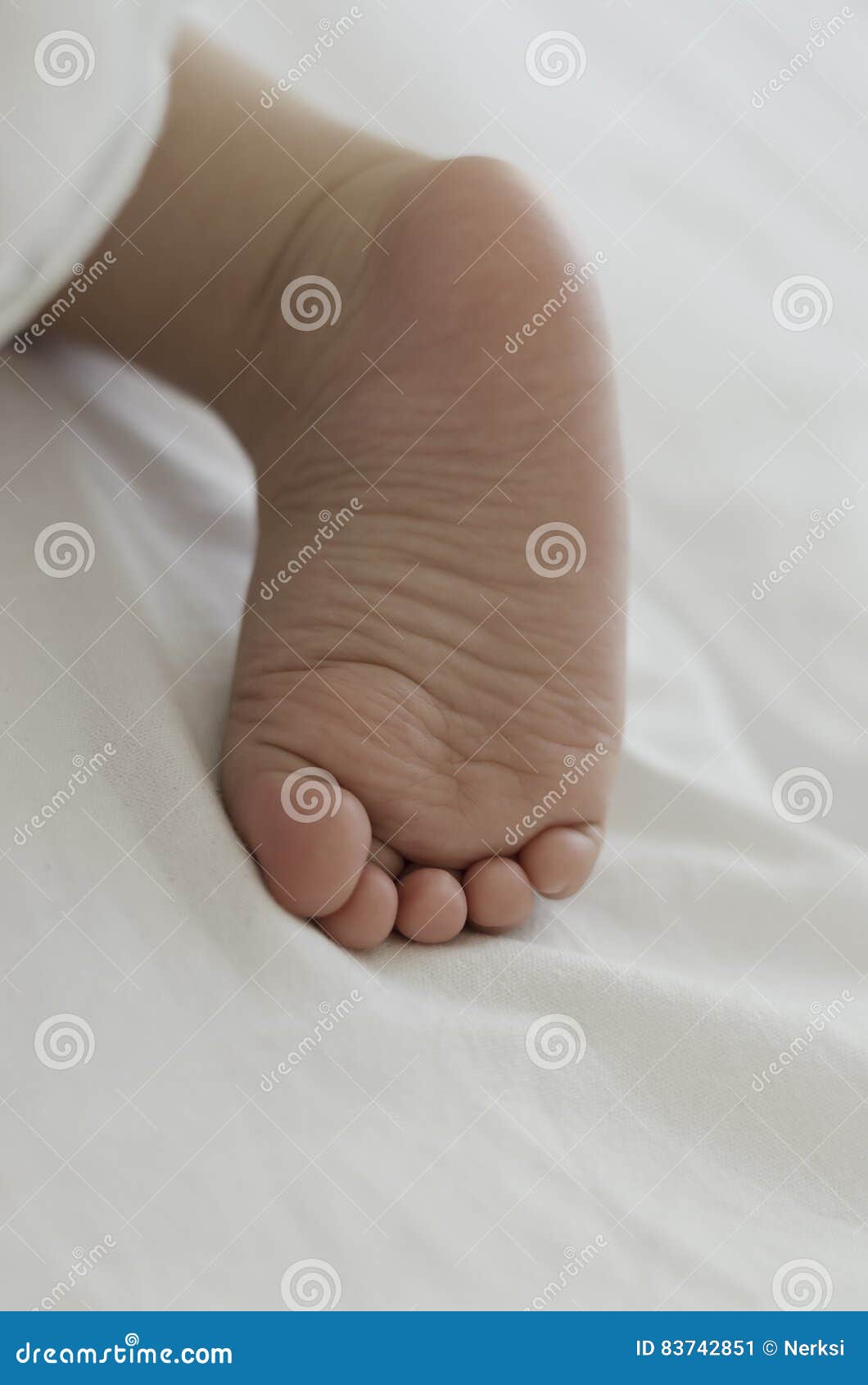 Cute tiny little baby feet stock image. Image of finger - 83742851