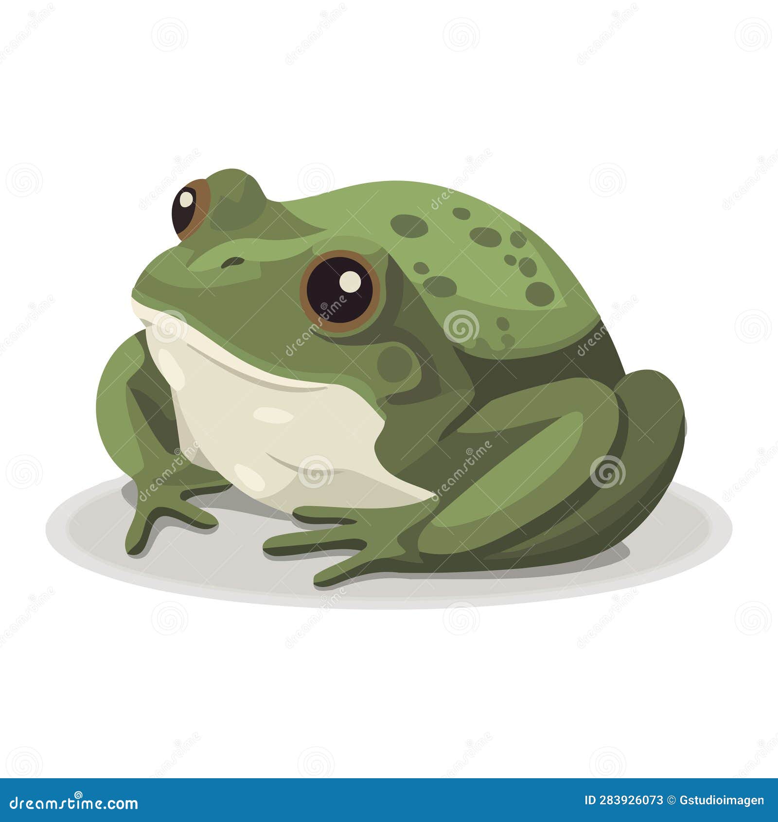 Cute Toad Sitting on White Backdrop Stock Vector - Illustration of ...