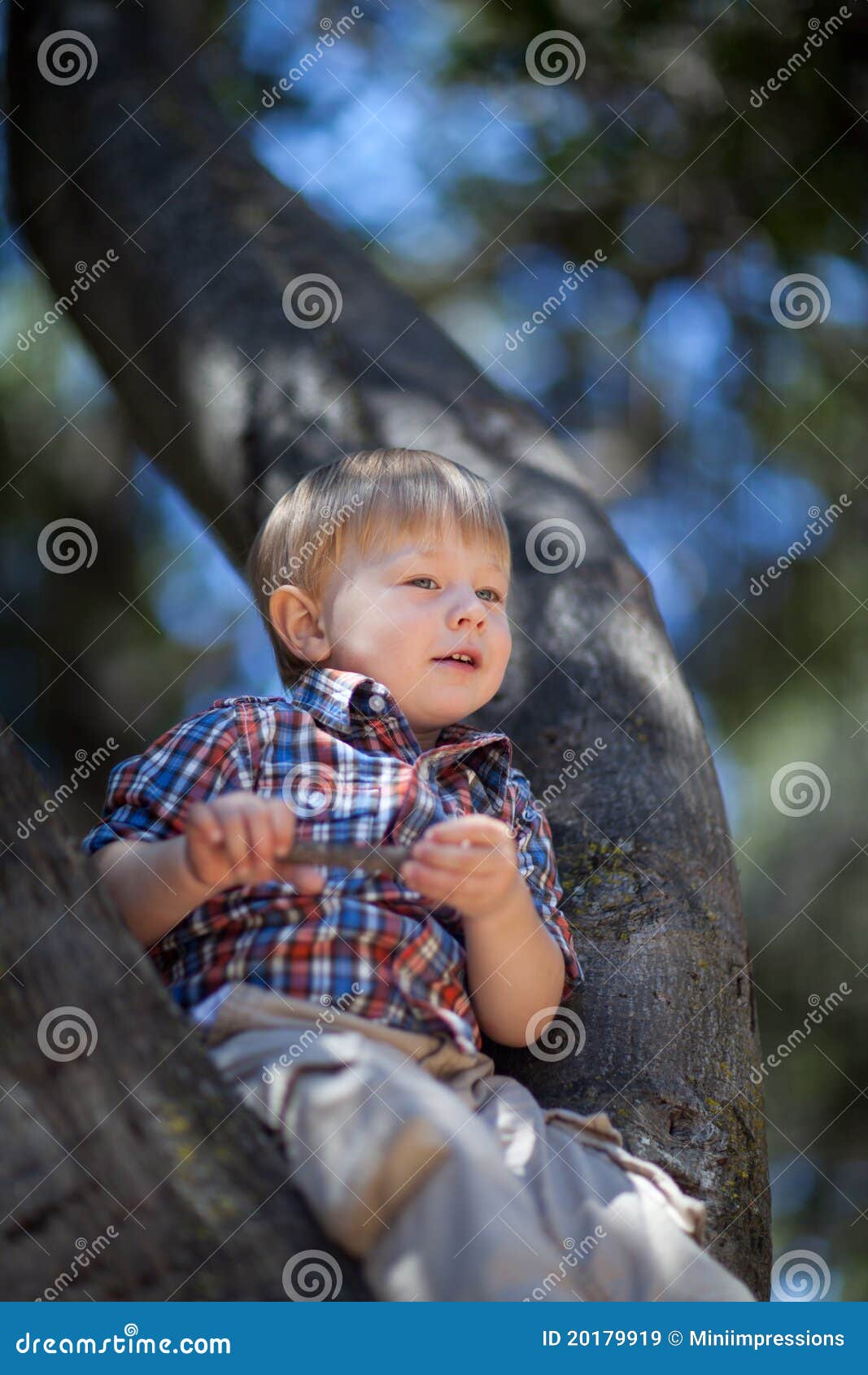 Cute Toddler Boy Sitting on a Tree Stock Image - Image of outdoors ...