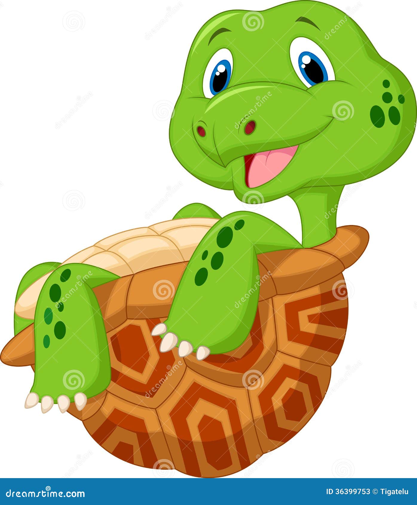 Cute Tortoise Animated