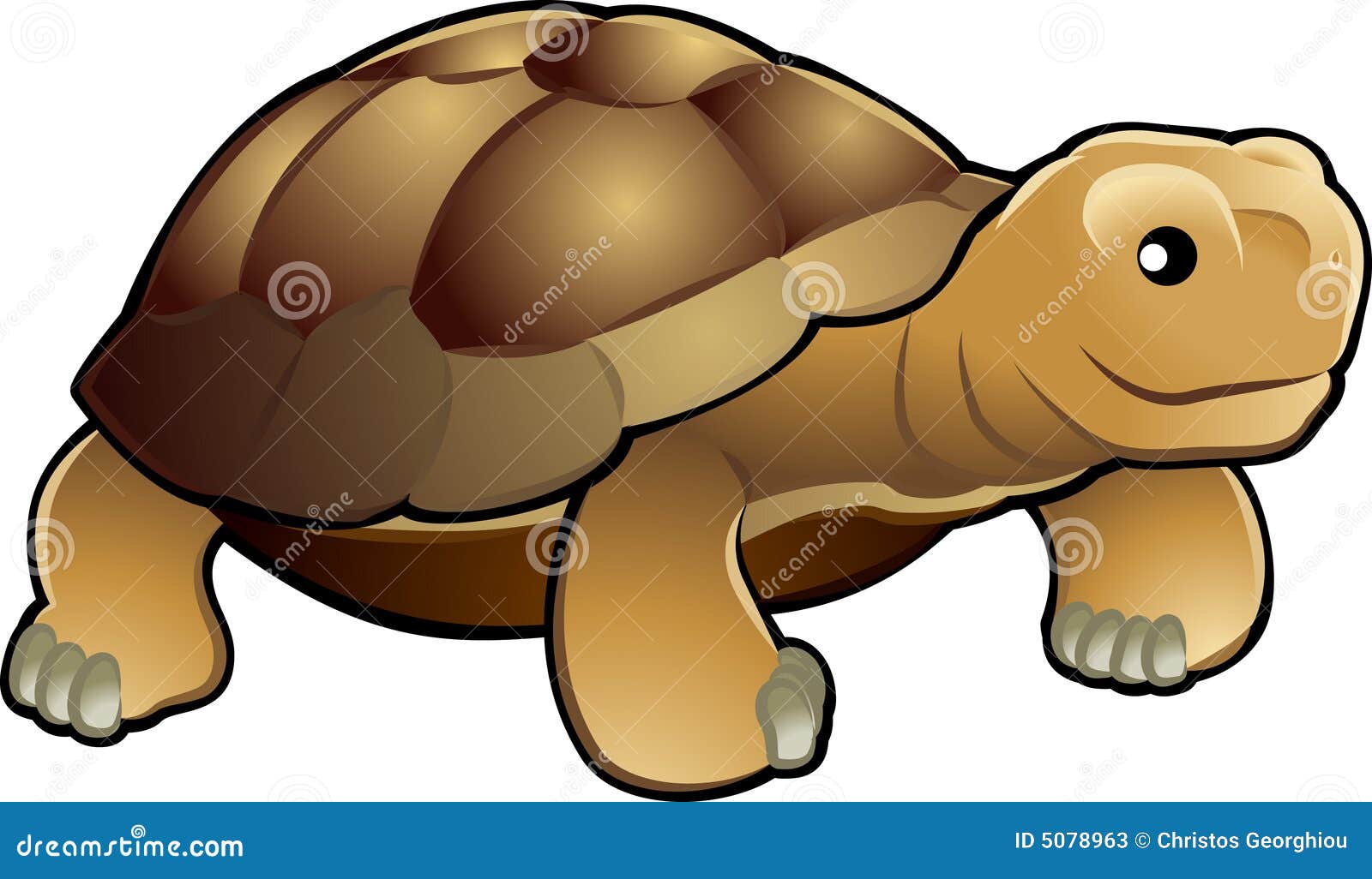 Cute Tortoise Vector Illustrat Stock Vector - Illustration of ...