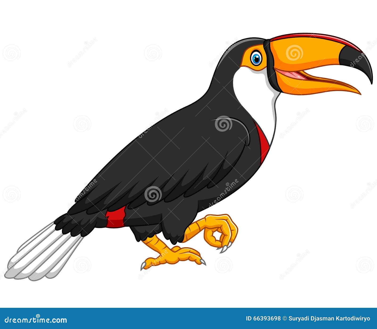 Cute toucan bird cartoon stock vector. Illustration of funny - 66393698