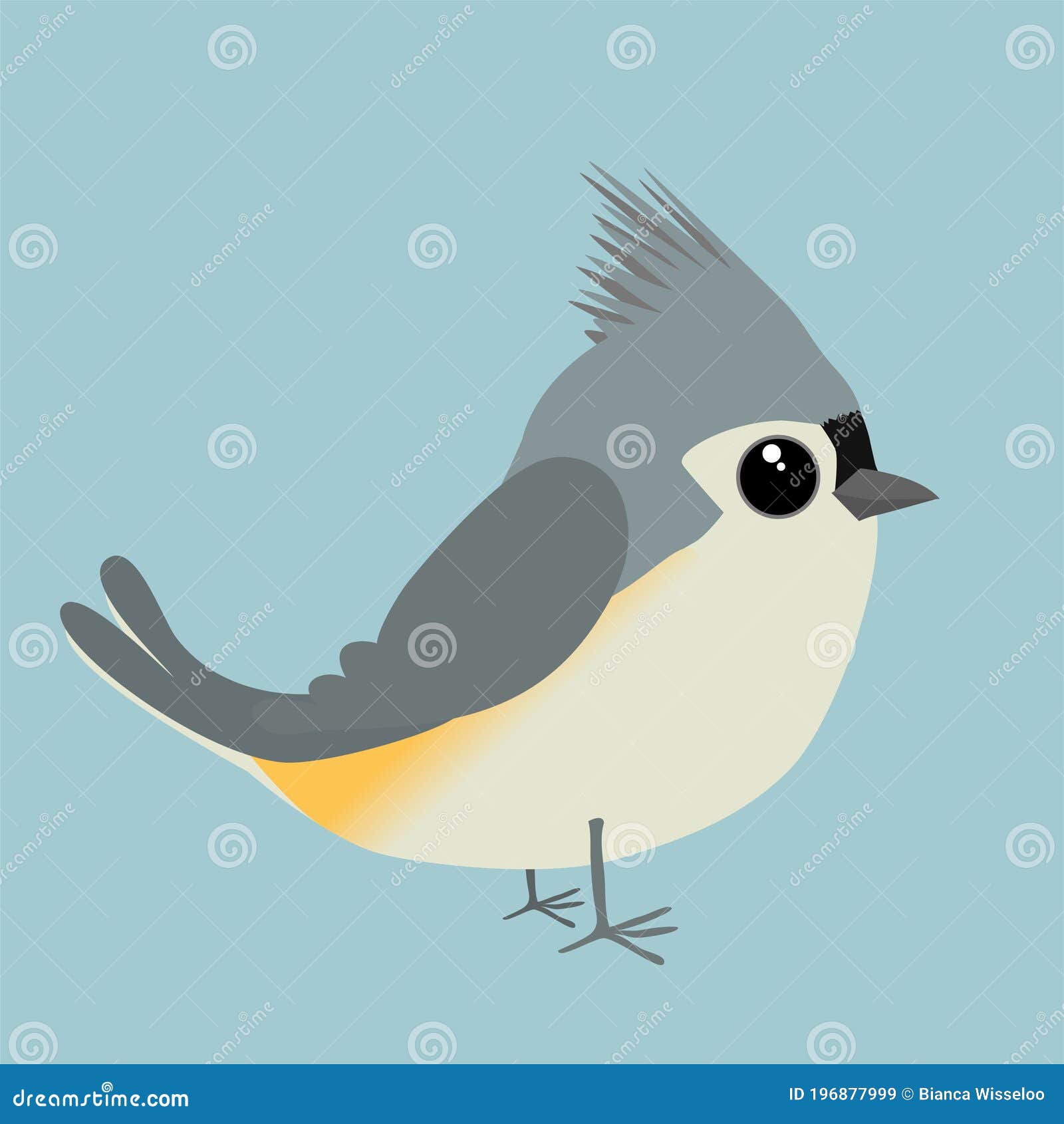 Titmouse Drawing