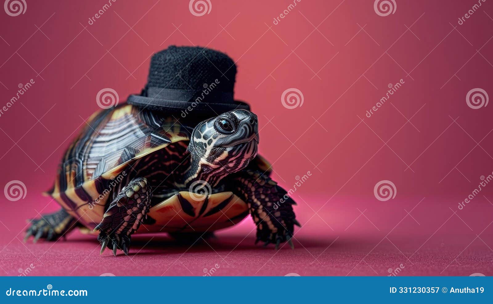 Cute Turtle Wearing a Black Hat on a Pink Backdrop, Creating a ...