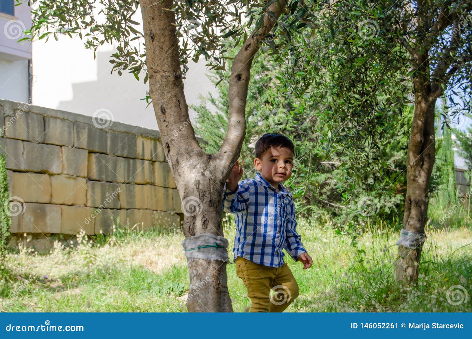 220 Boy Hiding Behind Tree Photos - Free & Royalty-Free Stock Photos ...