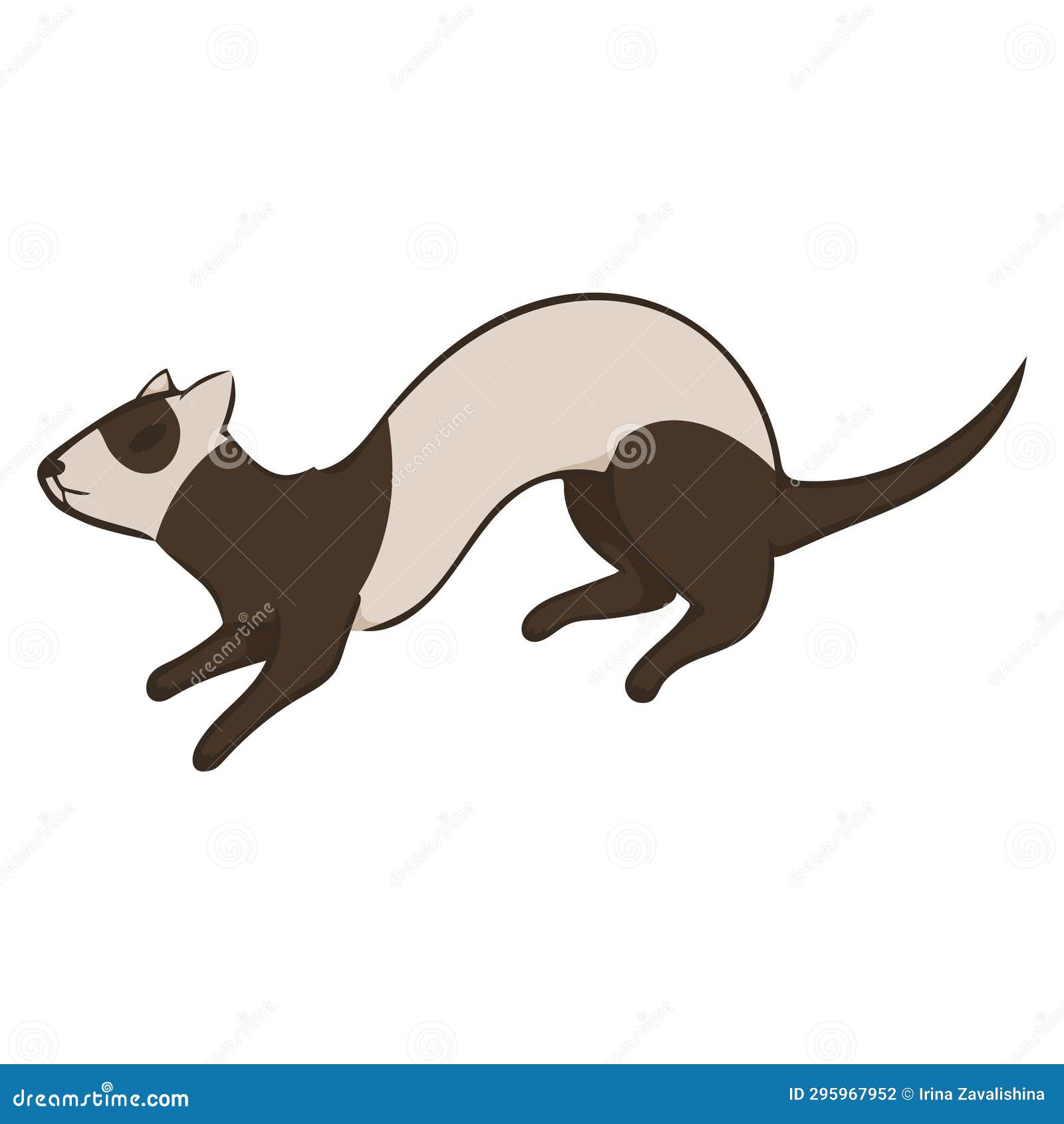Cute Vector Ferret. Illustration Isolated on White Background Stock ...