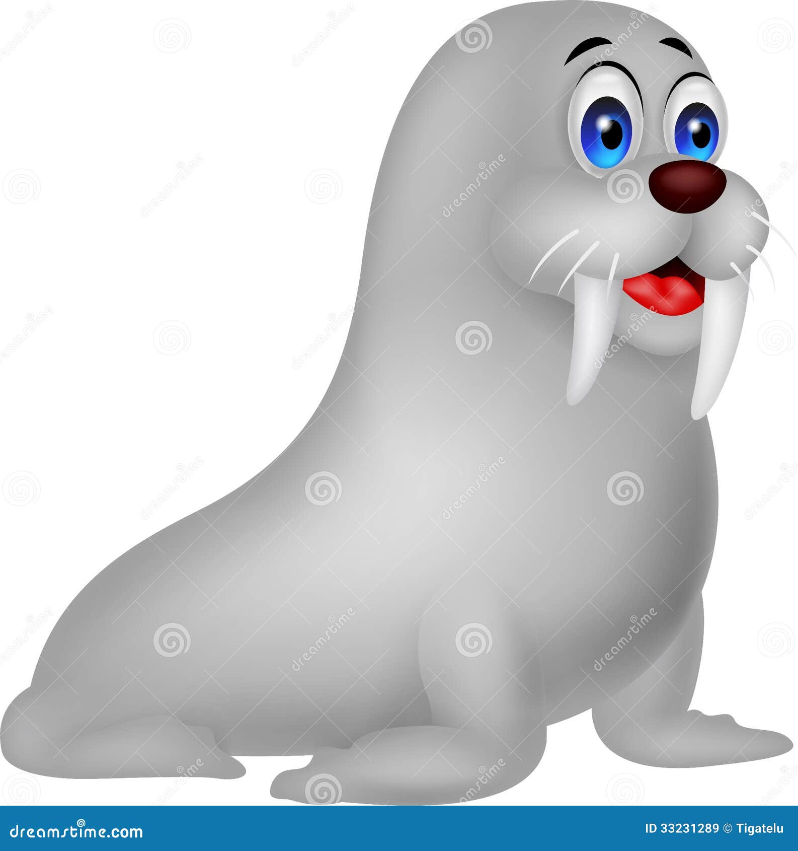 Walrus Face Clip Art