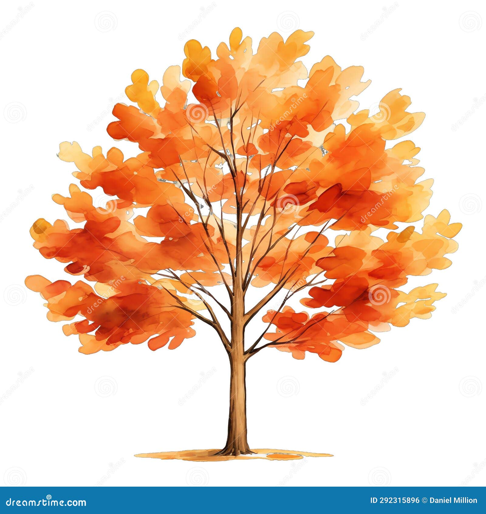 Cute Watercolor Red Orange Tree Fall Autumn, Illustration Stock ...