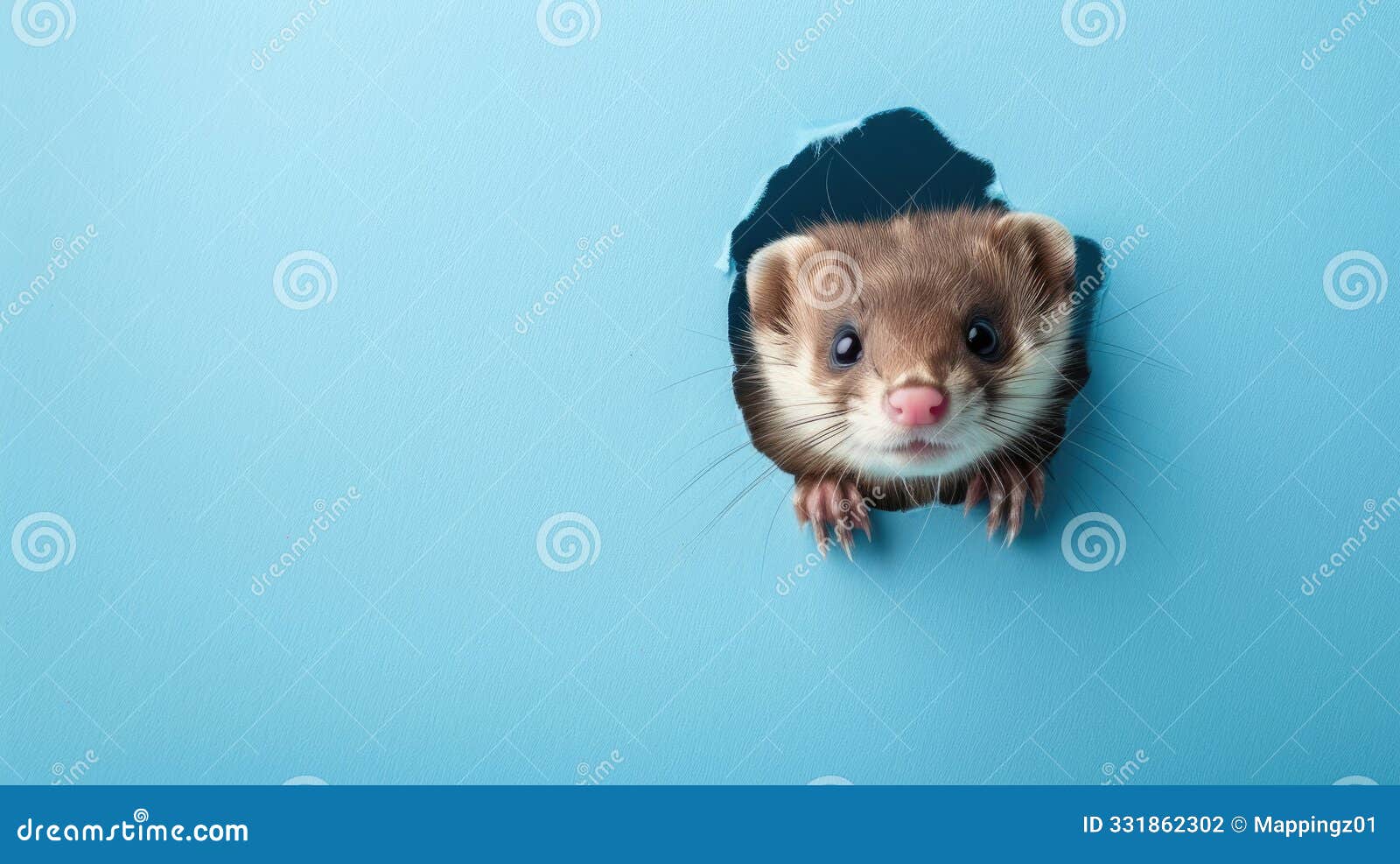 Cute Weasel Icons Set Cartoon Vector. Mink Ferret Character ...