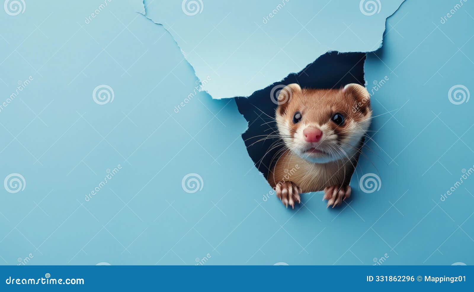 Cute Weasel Icons Set Cartoon Vector. Mink Ferret Character ...