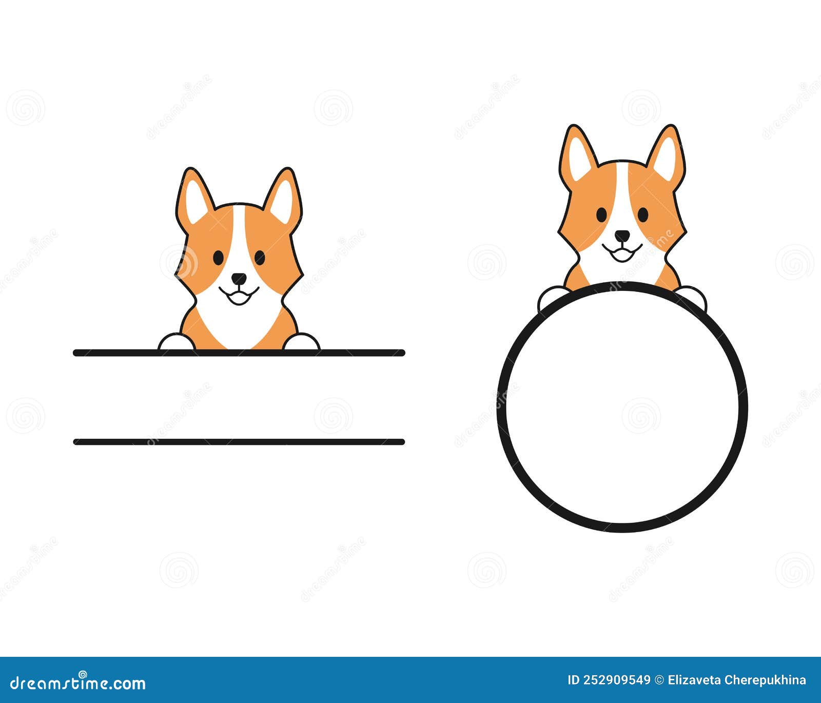 Cute Welsh Corgi. Muscles. Dog Sportsman, Bodybuilder. Corgi Portrait ...