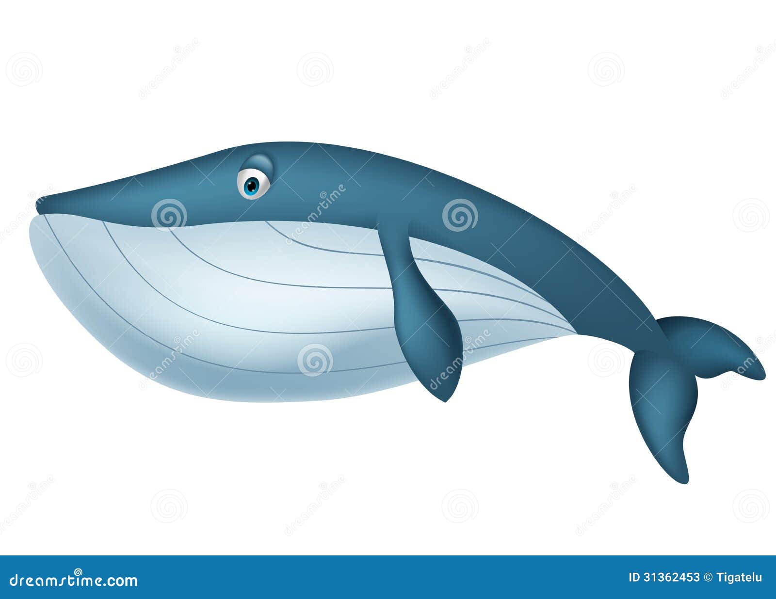 Cute whale cartoon stock vector. Illustration of clipped - 31362453