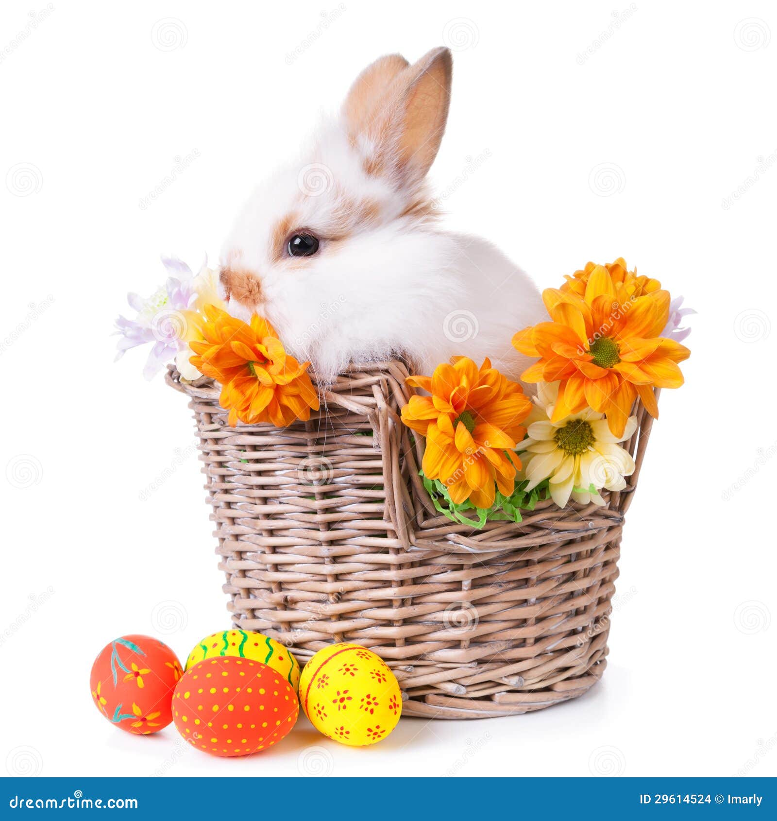 Cute White Bunny Sitting in a Basket with Flowers Stock Photo - Image ...