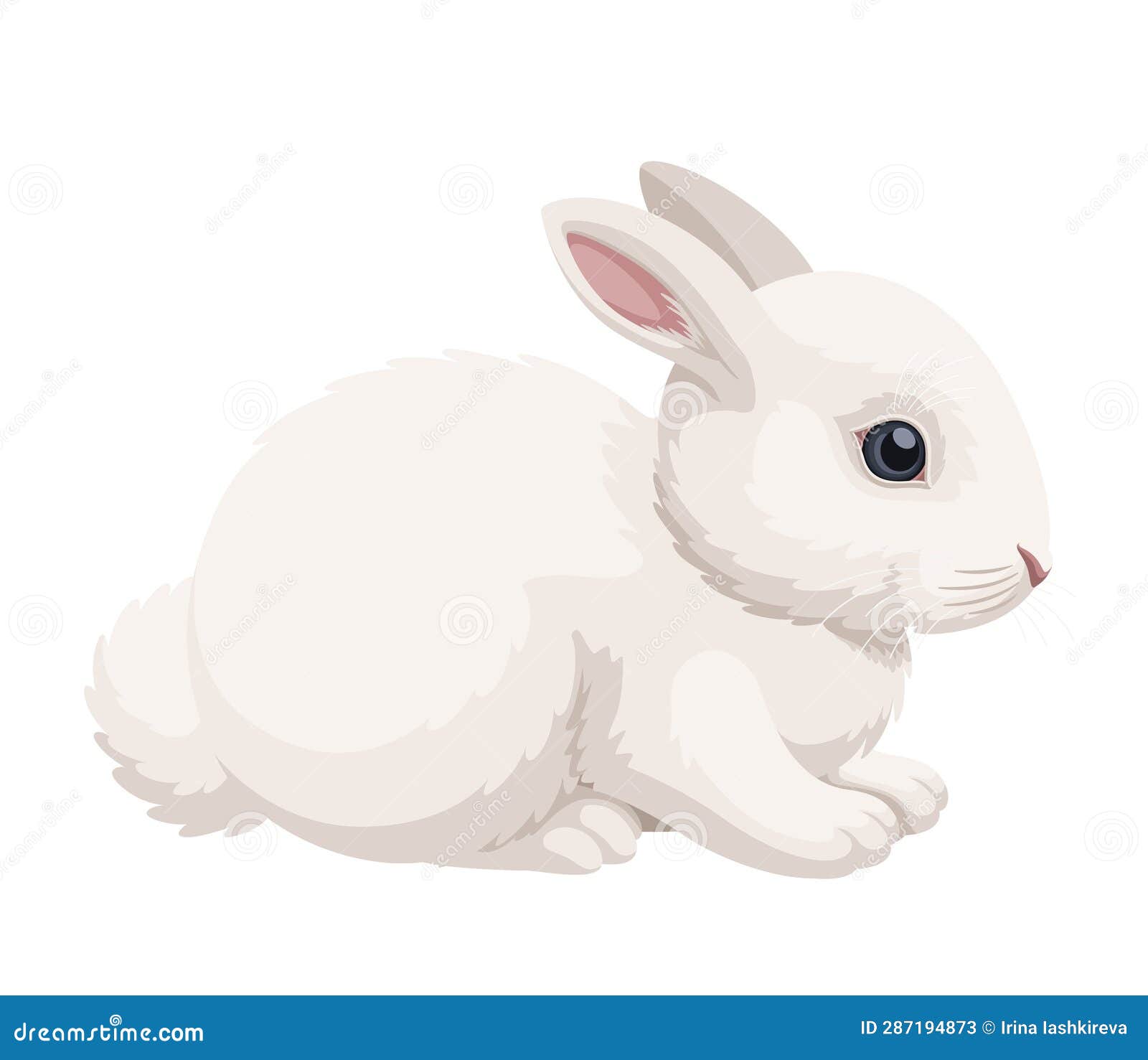 White Bunny Cartoon