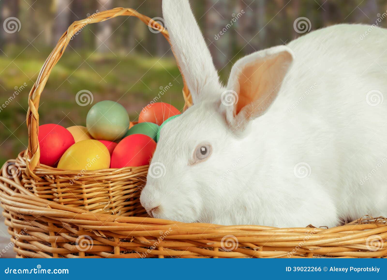 Cute white Ester rabbit stock photo. Image of decoration - 39022266