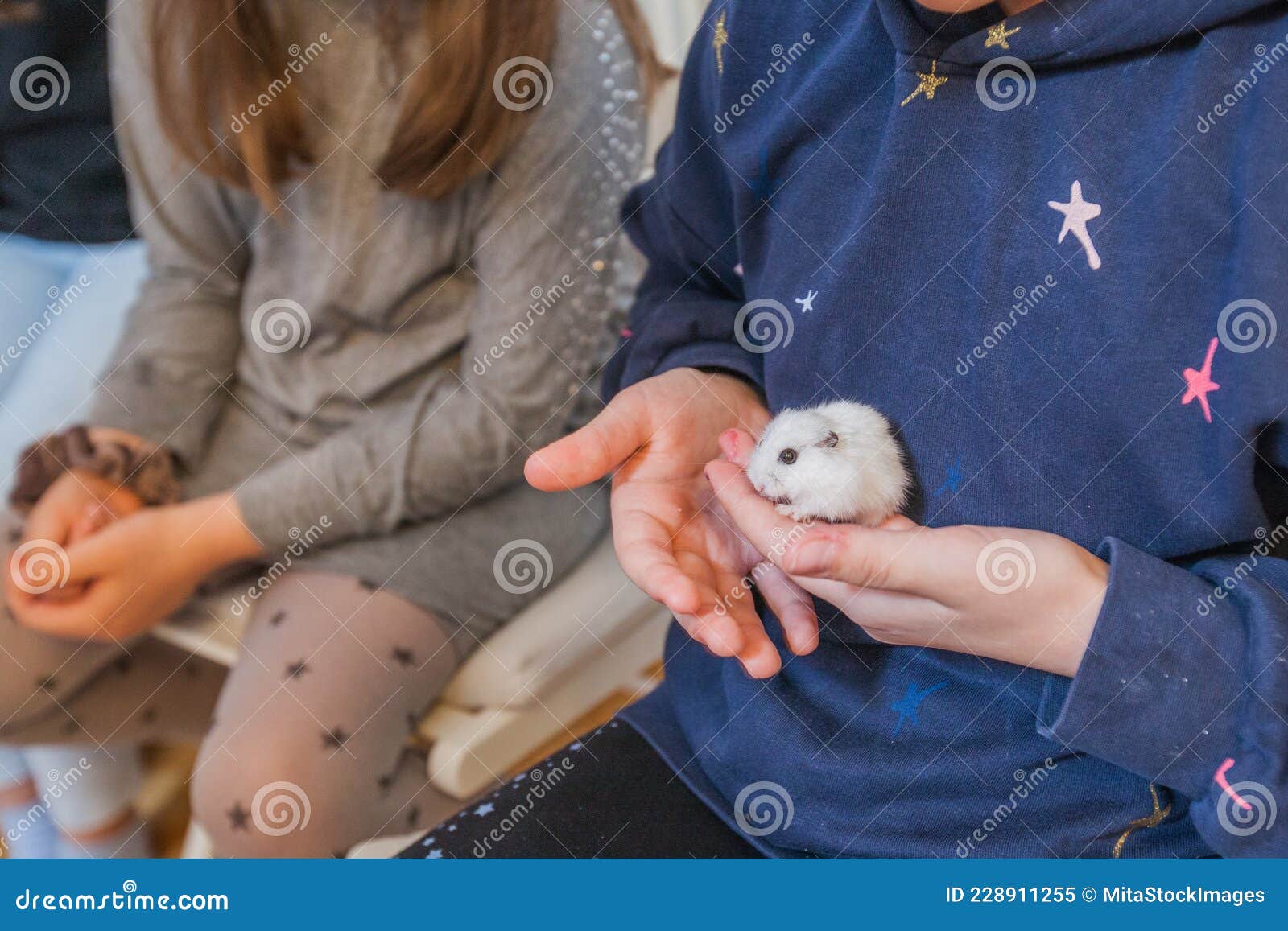 Cute White Mouse at Children Palm Indoor Stock Image - Image of party ...