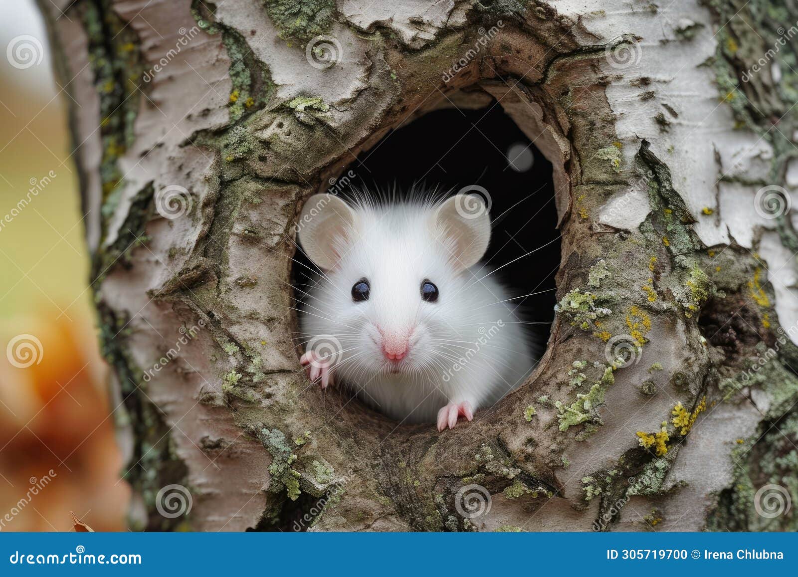 Elongated Mouse Humanoid Creature Stuffed Animal - Dark And Shiny ...