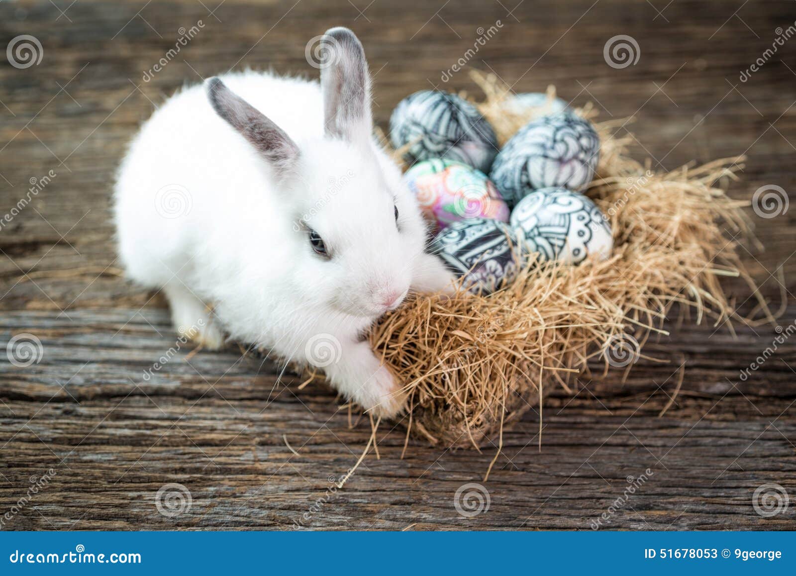 Cute White Rabbit with Easter Egg in Nest Stock Image - Image of ...