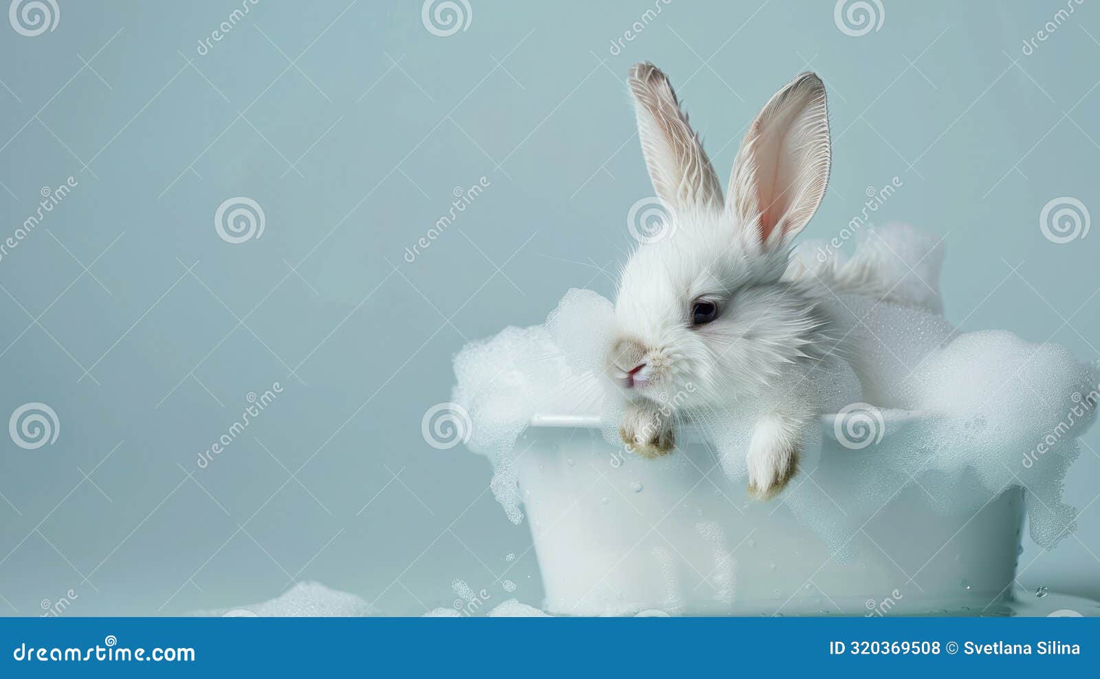 Cute White Rabbit Getting a Bath in a Small Tub, Feeling Fresh and ...