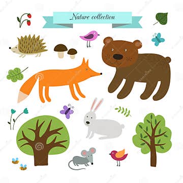 Cute wild animals set. stock vector. Illustration of nature - 62038914