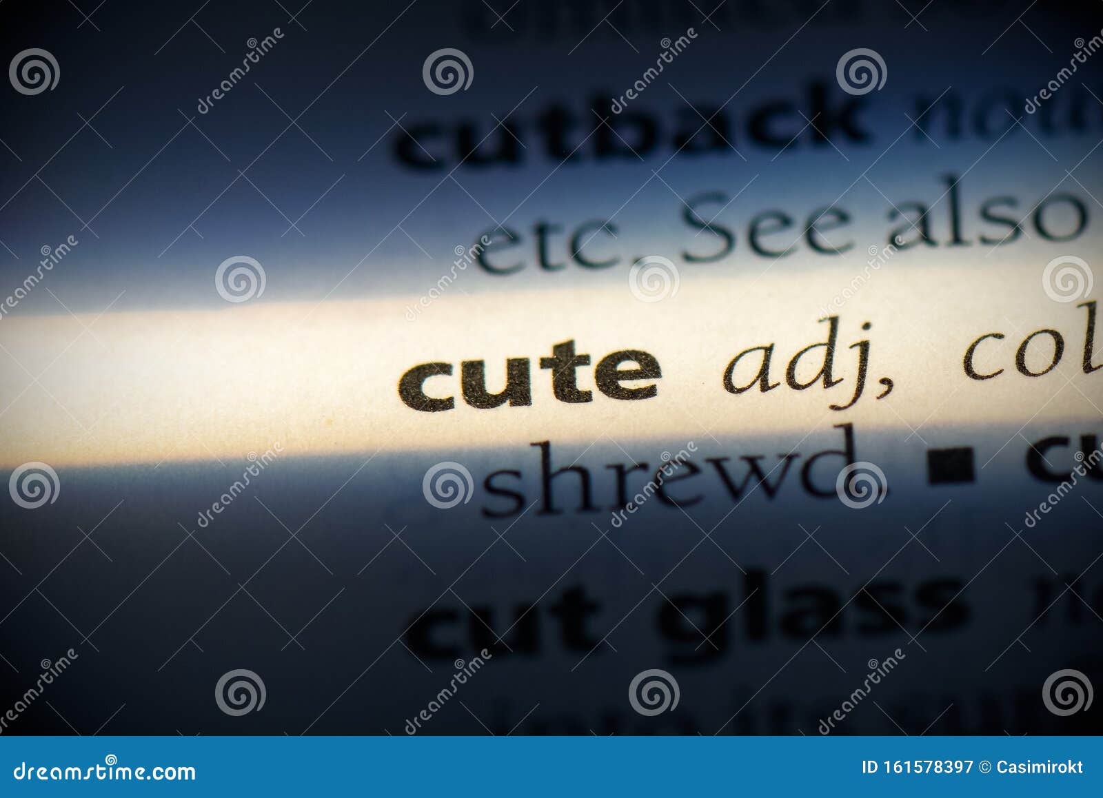 Cute stock image. Image of text, dictionary, closeup - 161578397