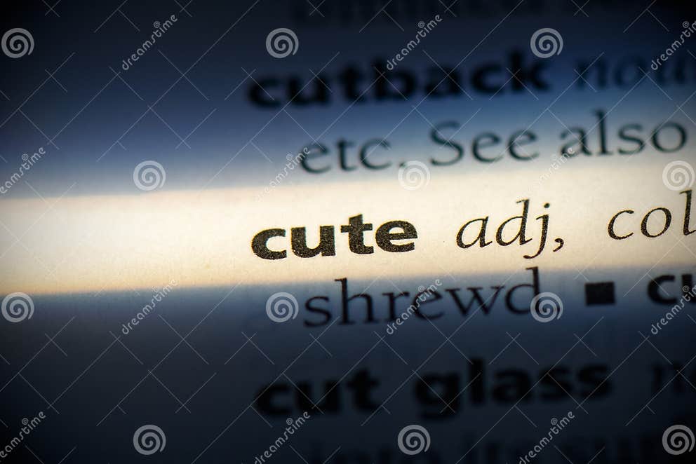 Cute stock image. Image of text, dictionary, closeup - 161578397