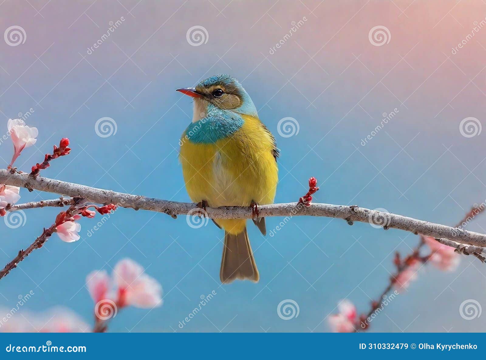 Cute Yellow Blue Bird on a Flowering Tree Branch in Spring Stock ...