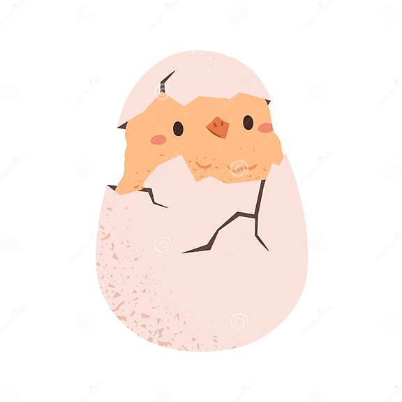 Cute Yellow Chick Hatching from Chicken Egg, Cracking Breaking Shell ...
