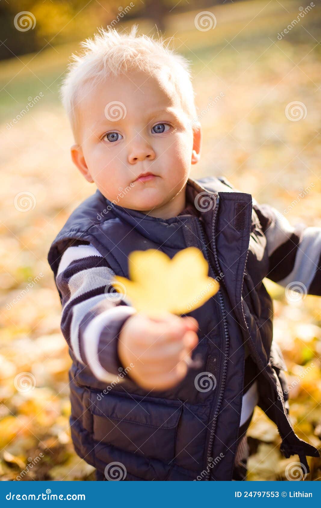 Cute Young Boy Outdoors in Nature. Stock Image - Image of showing ...