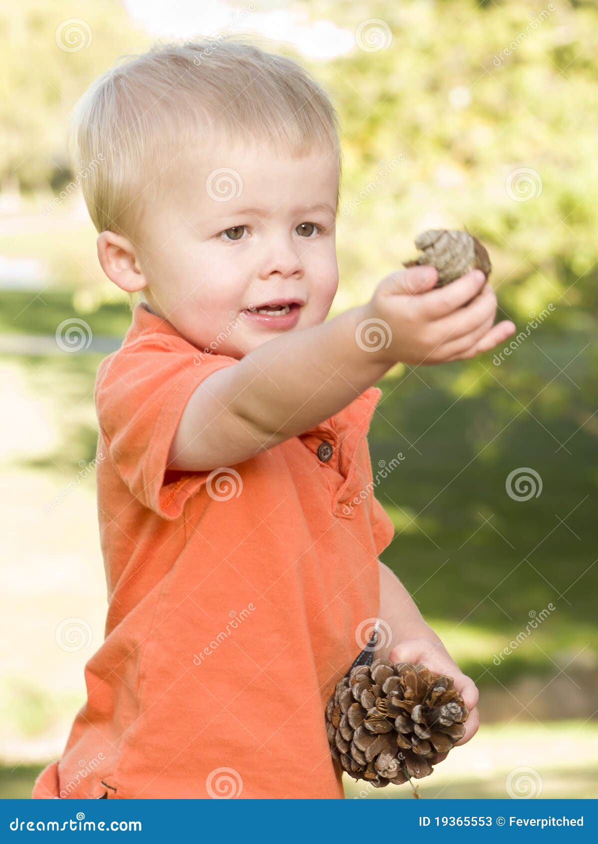 Cute Young Boy with Pine Cones in the Park Stock Image - Image of ...