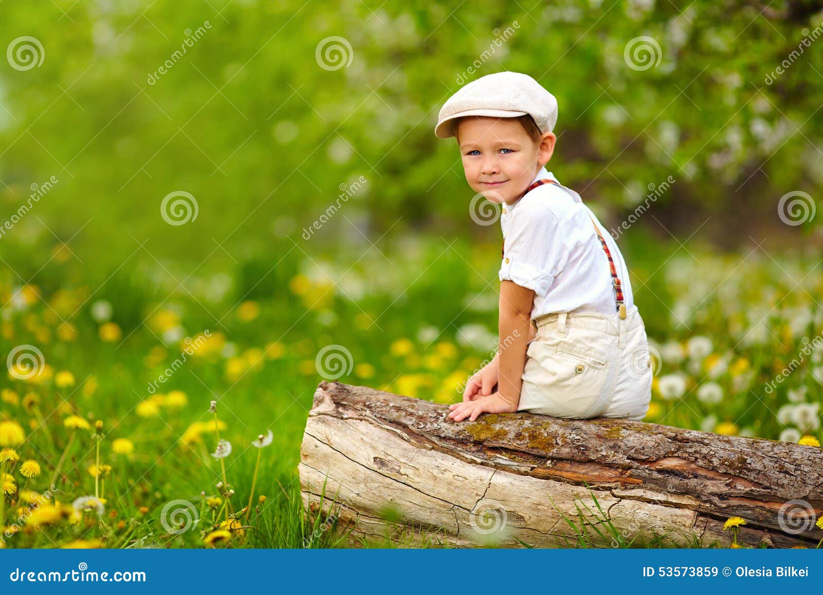Cute Young Boy Sitting on Stump in Spring Blooming Garden Stock Image ...