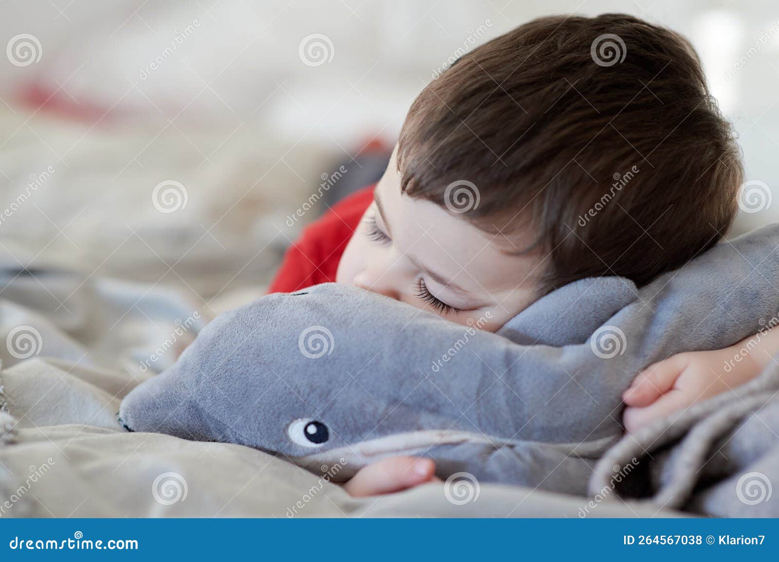 Cute Young Boy Taking a Nap on the Bed Using His Plush Toy As a Pillow ...