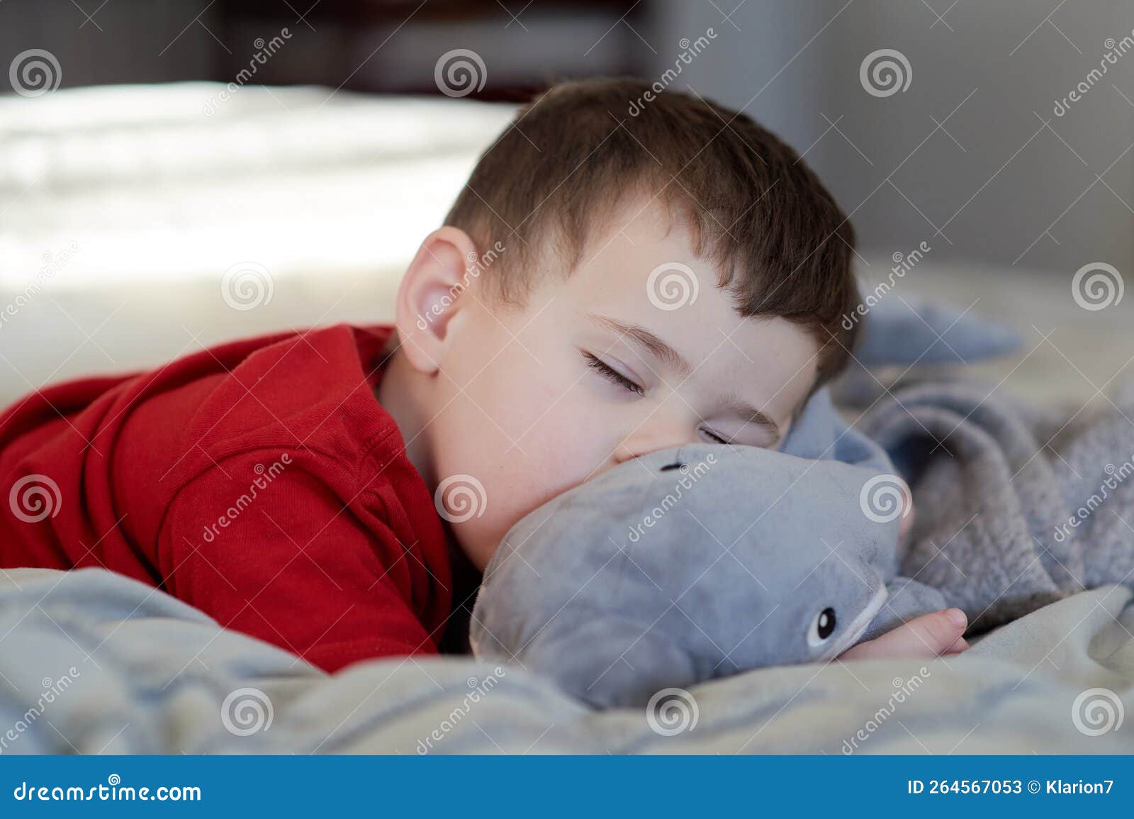Cute Young Boy Taking a Nap on the Bed Using His Plush Toy As a Pillow ...
