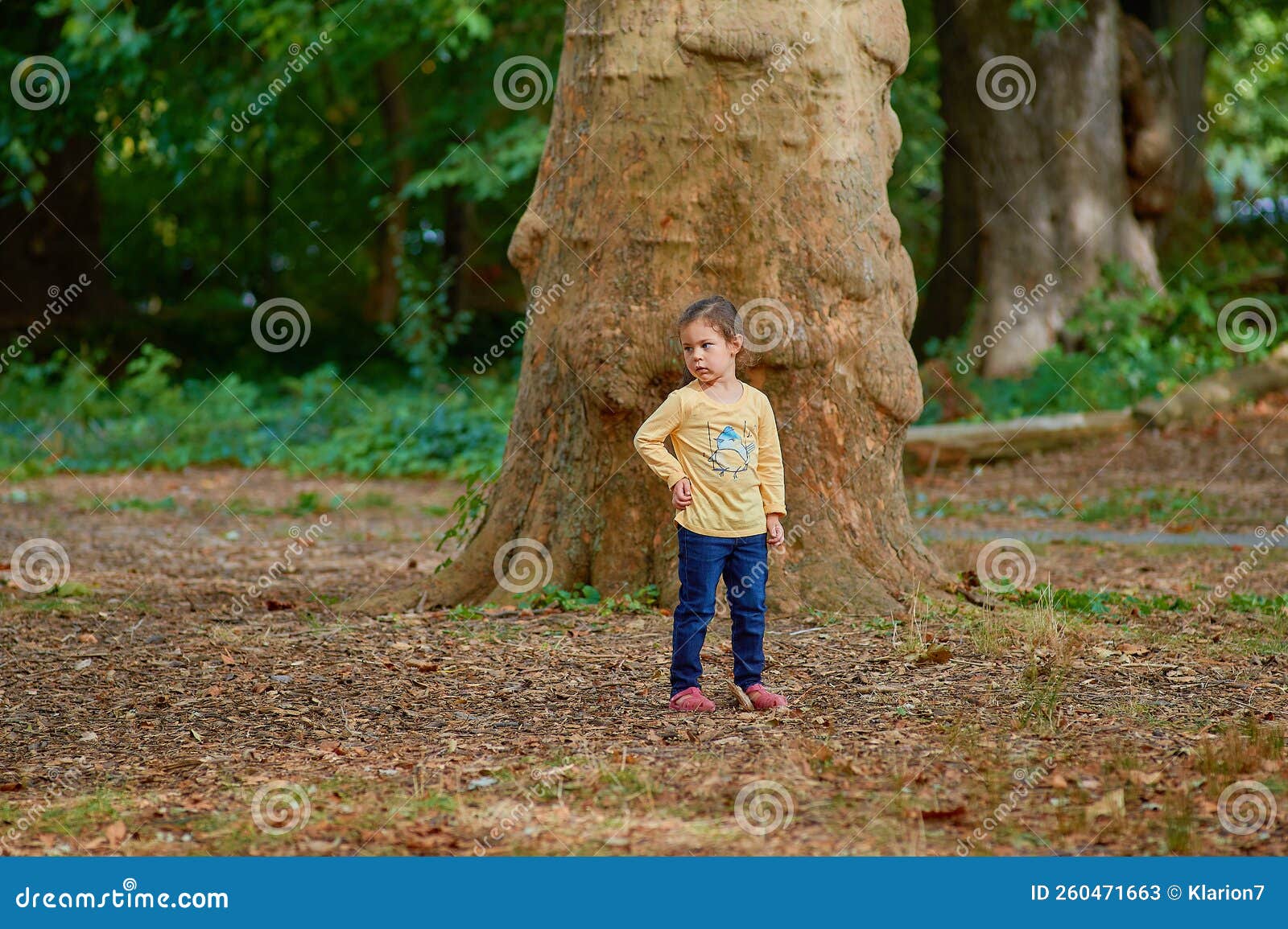 Pretty Young Girl in Front of a Huge Tree Trunk at a Botanical Garden ...