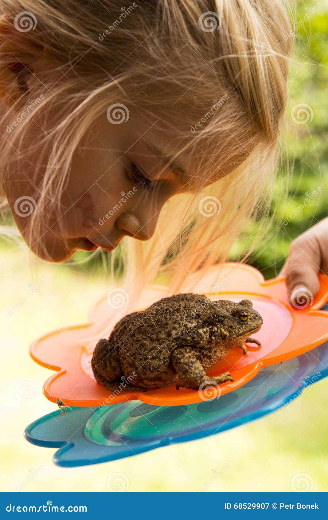 A Cute Young Girl Looking Close at Toad (frog) Stock Image - Image of ...