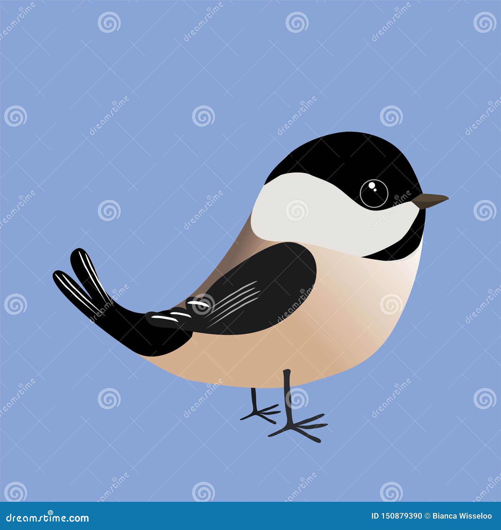 Cute Chickadee Peeking Through A Hole Stock Photography | CartoonDealer ...