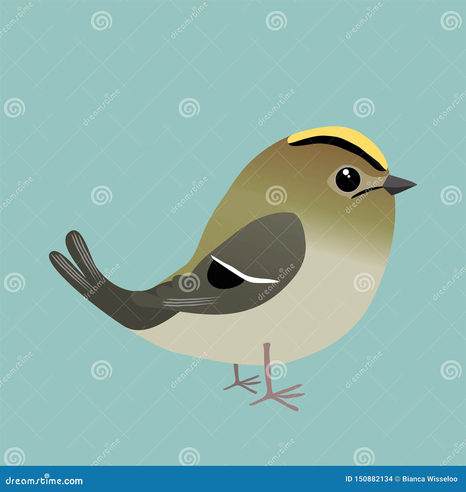 Firecrest Or Goldcrest Is A Very Small Passerine Bird In The Kinglet ...