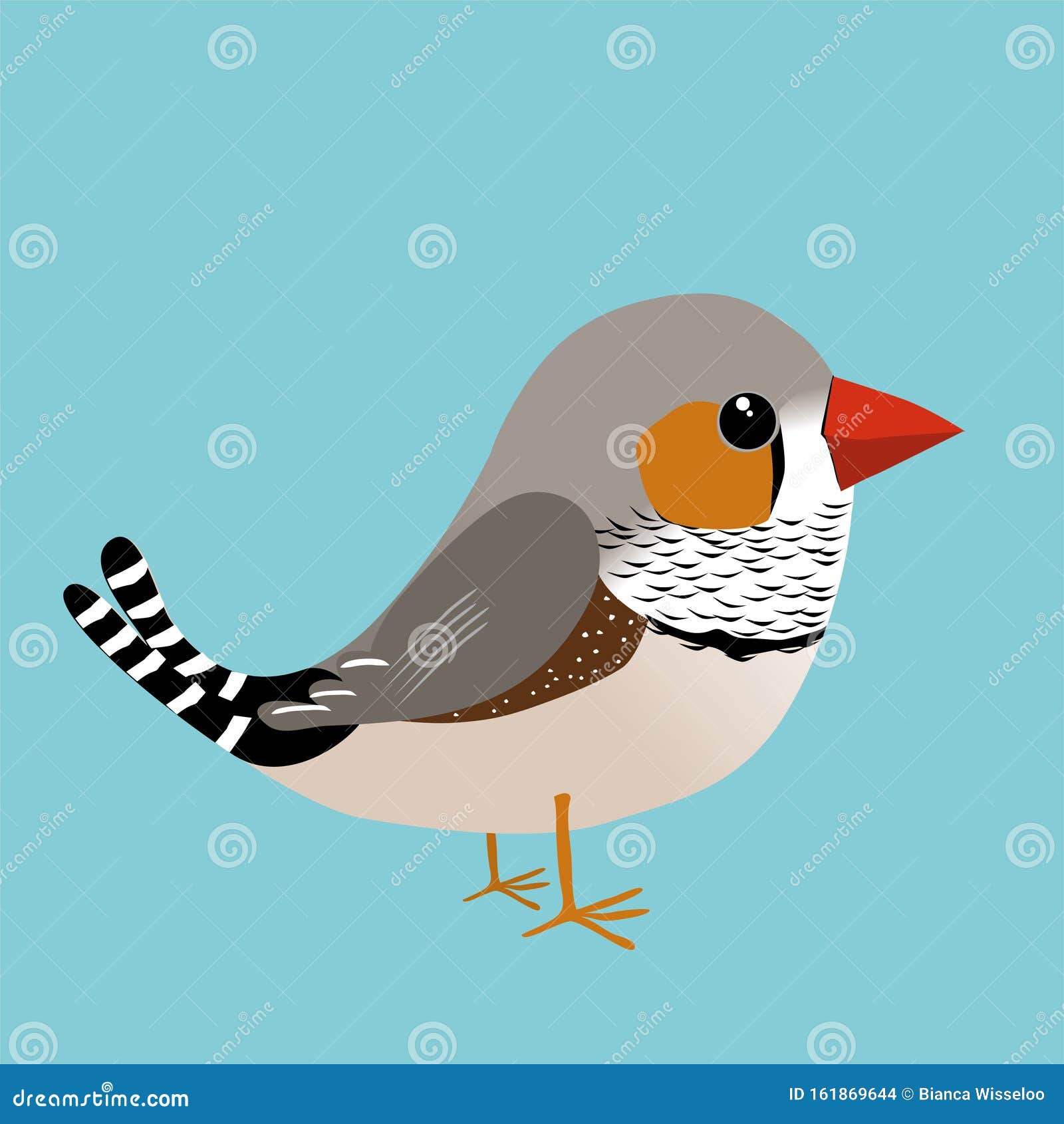 Zebra Finch Bird, A To Z, Alphabet Sketch Australian Animals Drawing ...