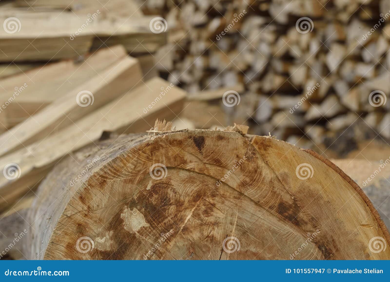 Cuted Trees Ready for Cutting Stock Image - Image of forest, bricks ...