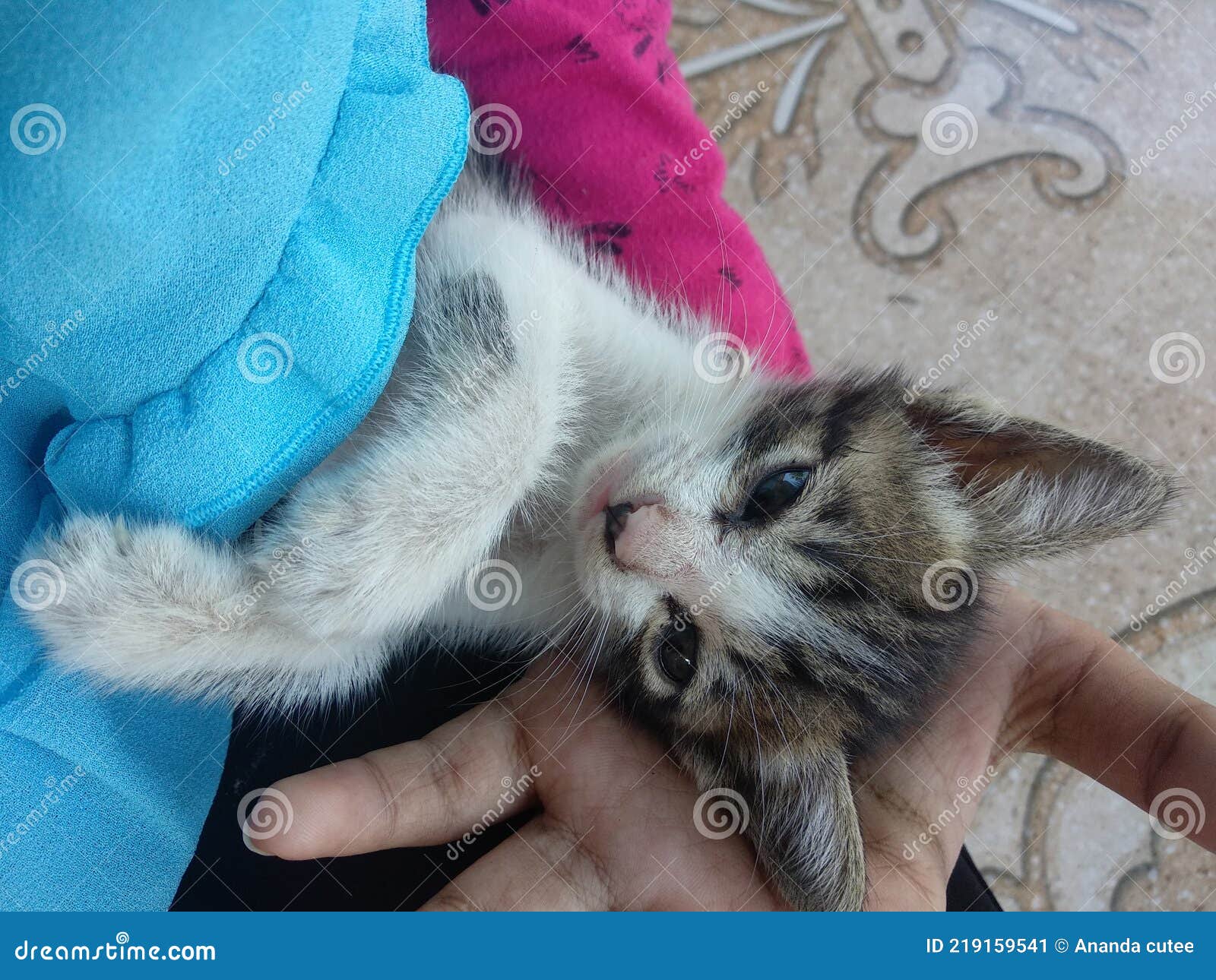 Cutest Word Photos - Free & Royalty-Free Stock Photos from Dreamstime