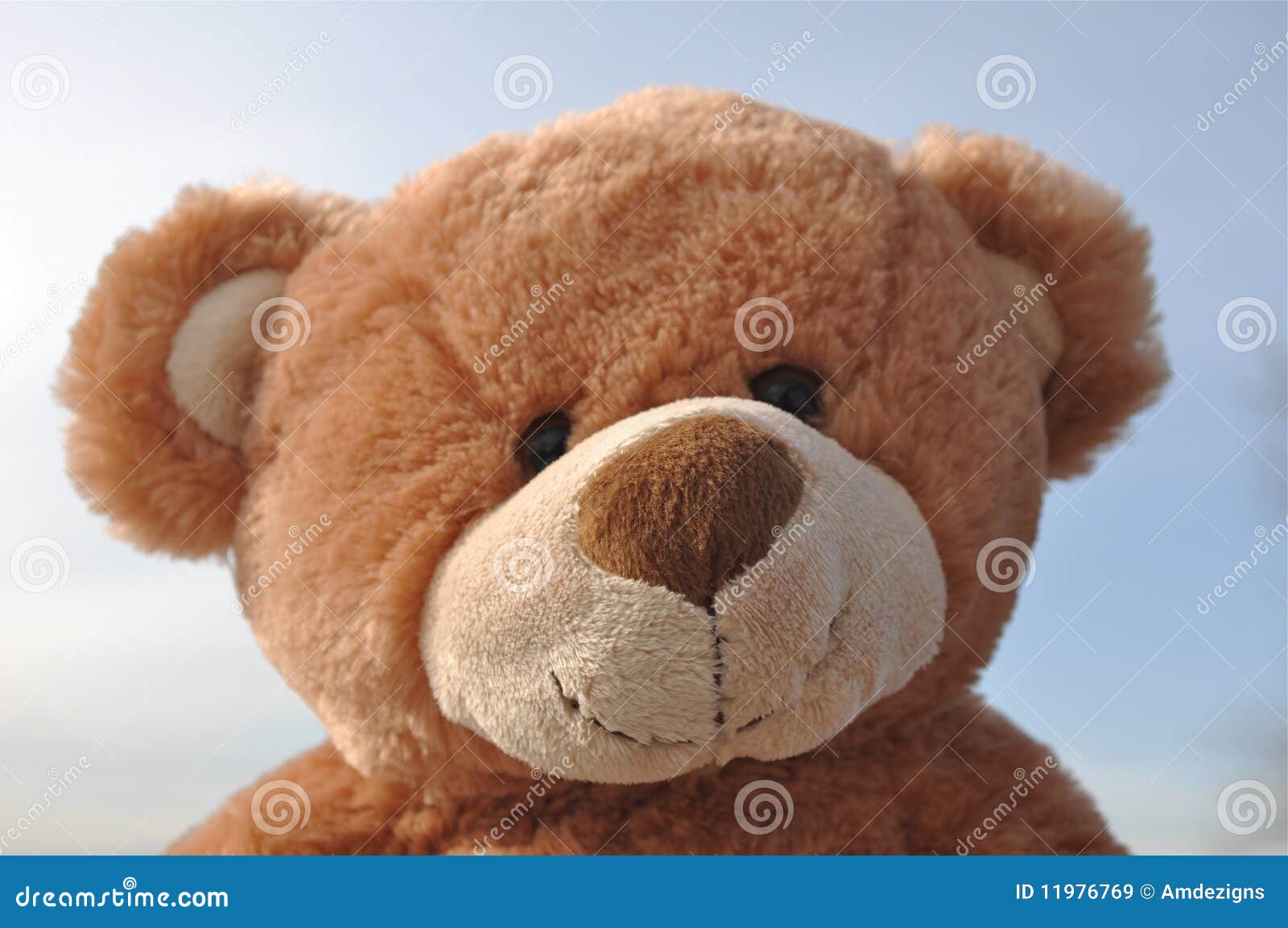Cutest teddy bear stock image. Image of teddy, close - 11976769