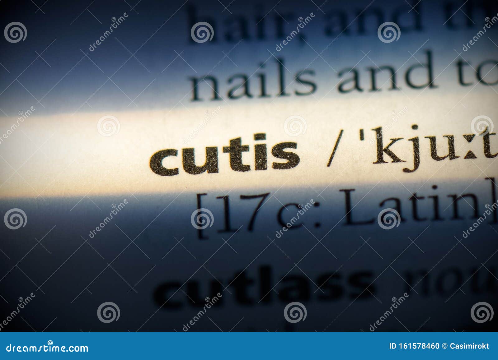Cutis stock photo. Image of minimal, book, idea, page - 161578460