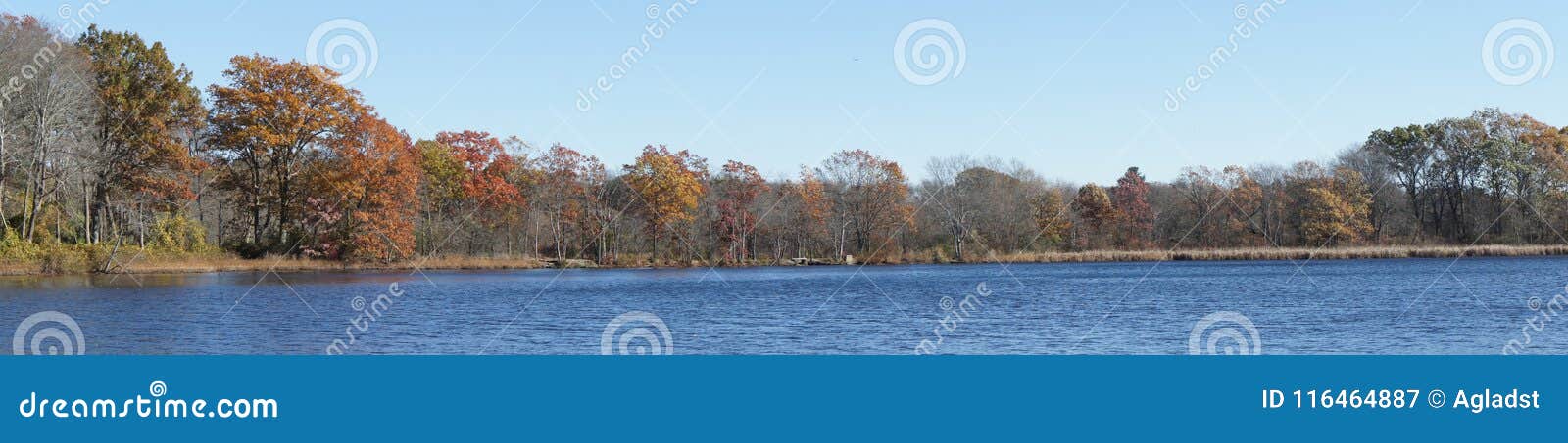 Cutler Park in Needham stock image. Image of water, nature - 116464887